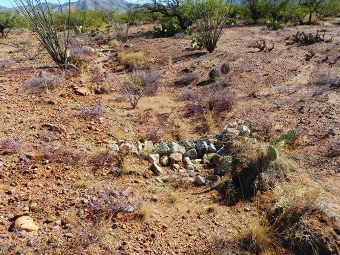 Desert Greening Projects and Stream Restoration – Mother Earth News